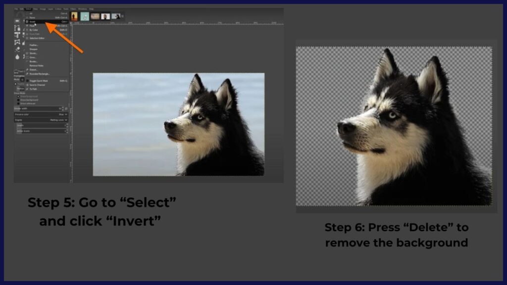How To Remove Background In Gimp Image Background Removed Using Gimp Graphically