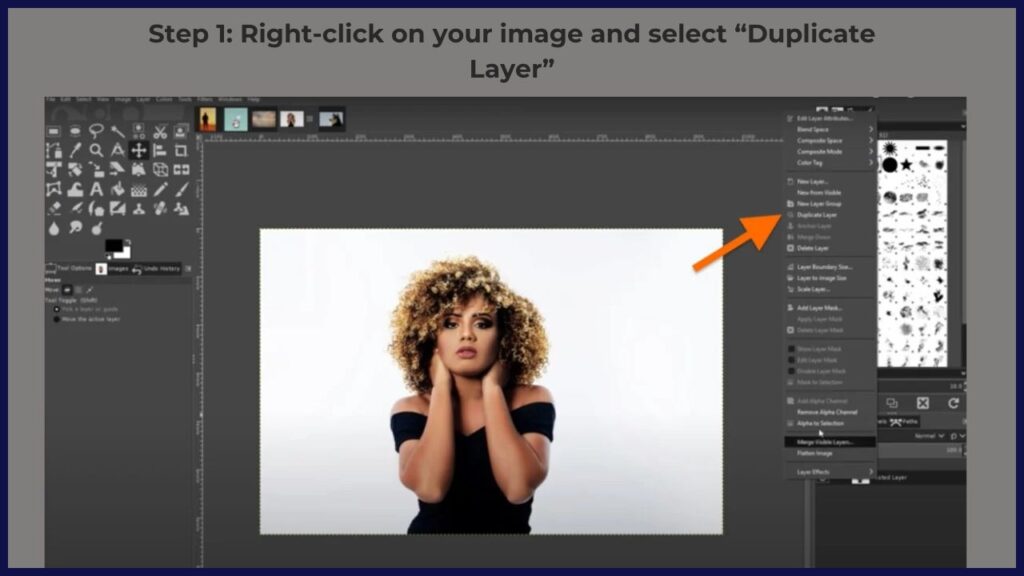 How to Remove Background in Gimp - Image Background Removed Using Gimp ...